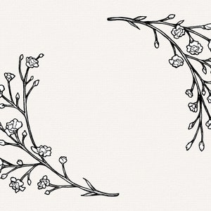 Baby's Breath Flower PNG Clipart, Botanical Line Art (digital Download ...