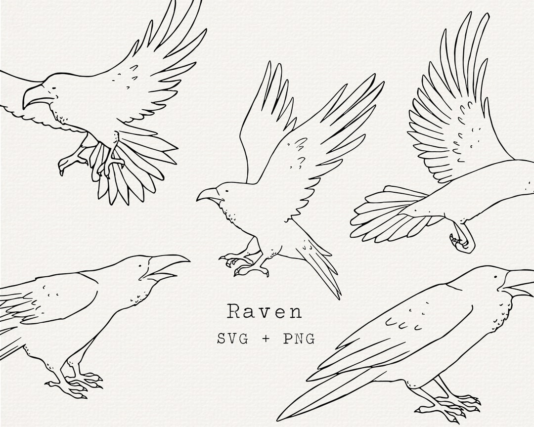 Raven SVG Bundle, Illustration for Commercial Use, Cut File for Cricut ...