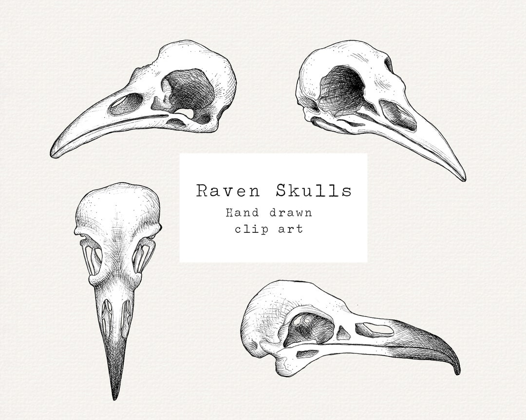 Raven Skull Front