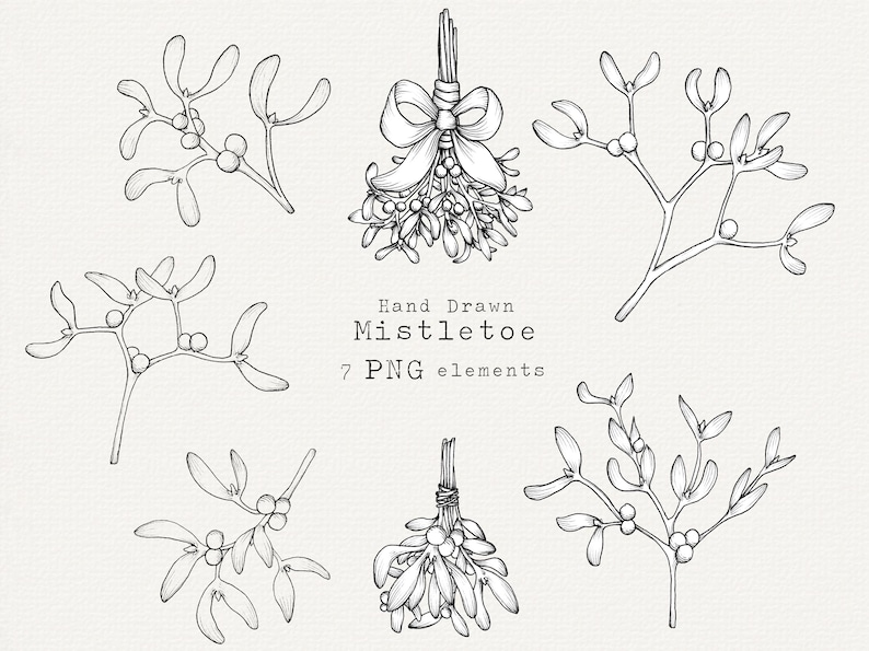 Hand Drawn Mistletoe Clipart, Botanical Illustration, Christmas Decor ...