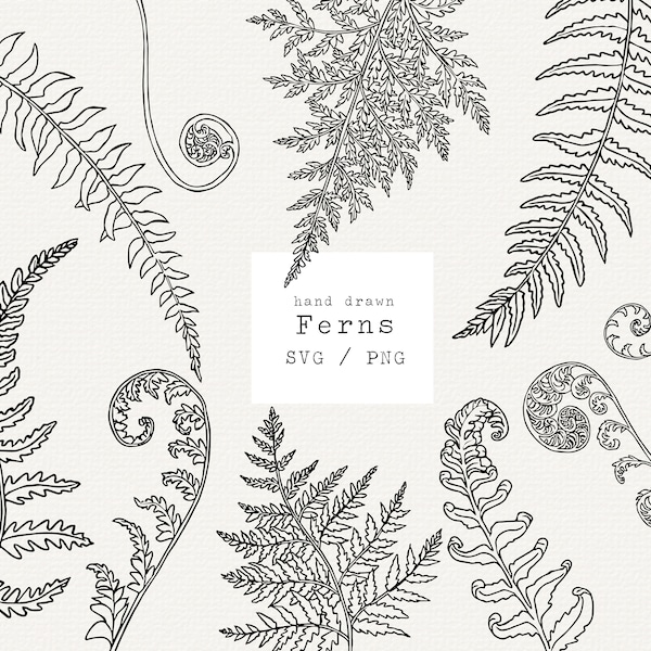 Fern Svg - Etsy