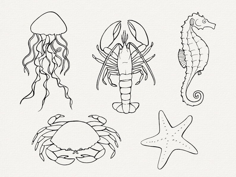Coastal SVG Bundle, Sea Life Clipart, Ocean Animals, Marine Vector ...