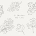 Cilantro SVG Clip Art, Commercial Use, Cilantro Plant Vector ...