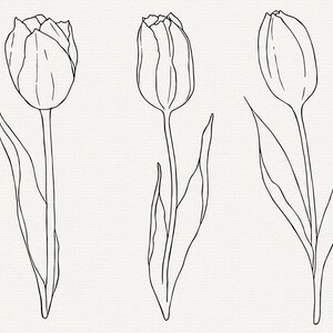 Tulip SVG, Tulips Line Art Clip Art, Flower Line Drawing Vector, Simple ...