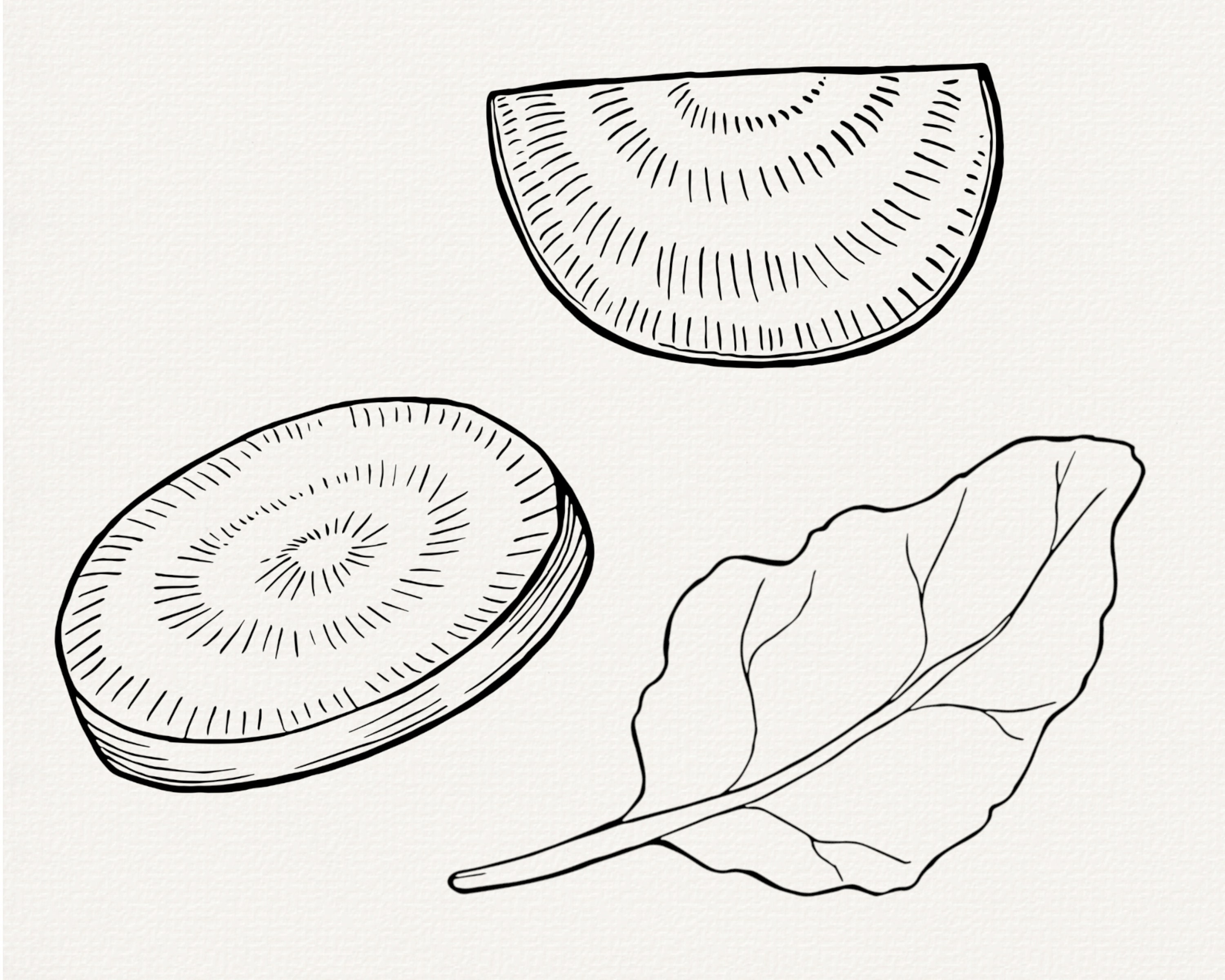 Beet Line Art SVG, PNG, Vegetable Outline Clipart, Kitchen Decor, Food ...