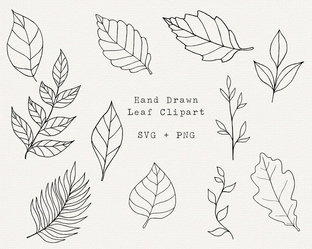 Leaf SVG Bundle, Leaves SVG Clipart, Leaf Simple Outline, Cut File for ...