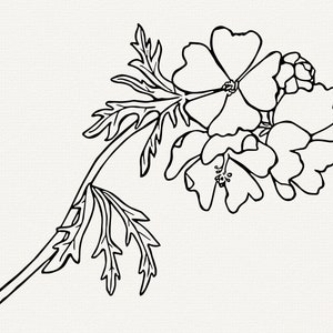 Musk Mallow SVG, Mallow Clip Art Illustration, Vector Line Art, Wild ...