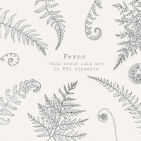 Doodled Leaves Clip Art, PNG Leaf Digital Stamp Printable & Photoshop ...