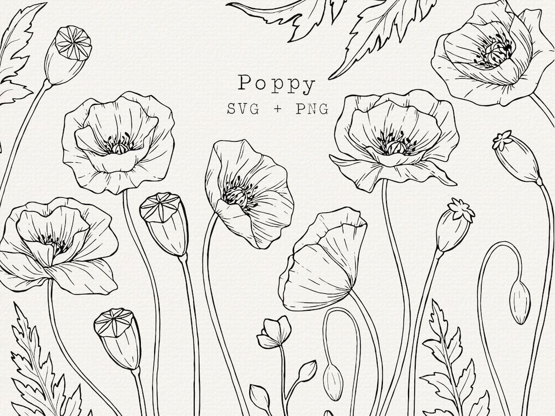 Poppy Line Art SVG: Floral Outline Vector Clip Art (commercial Use) - Etsy