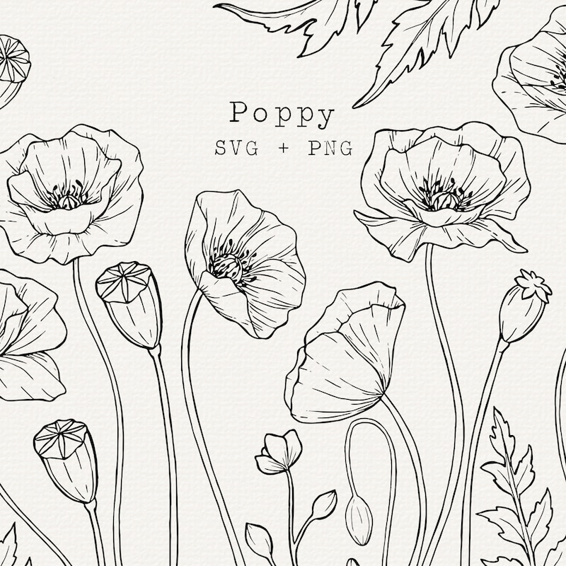 Poppy Line Art - Etsy