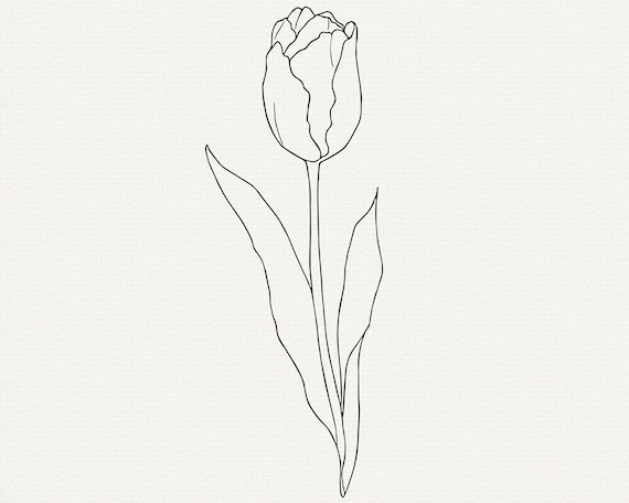 Tulip Outline Clip Art
