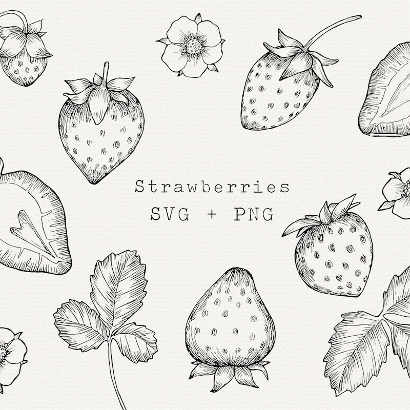 Strawberry Svg - Etsy