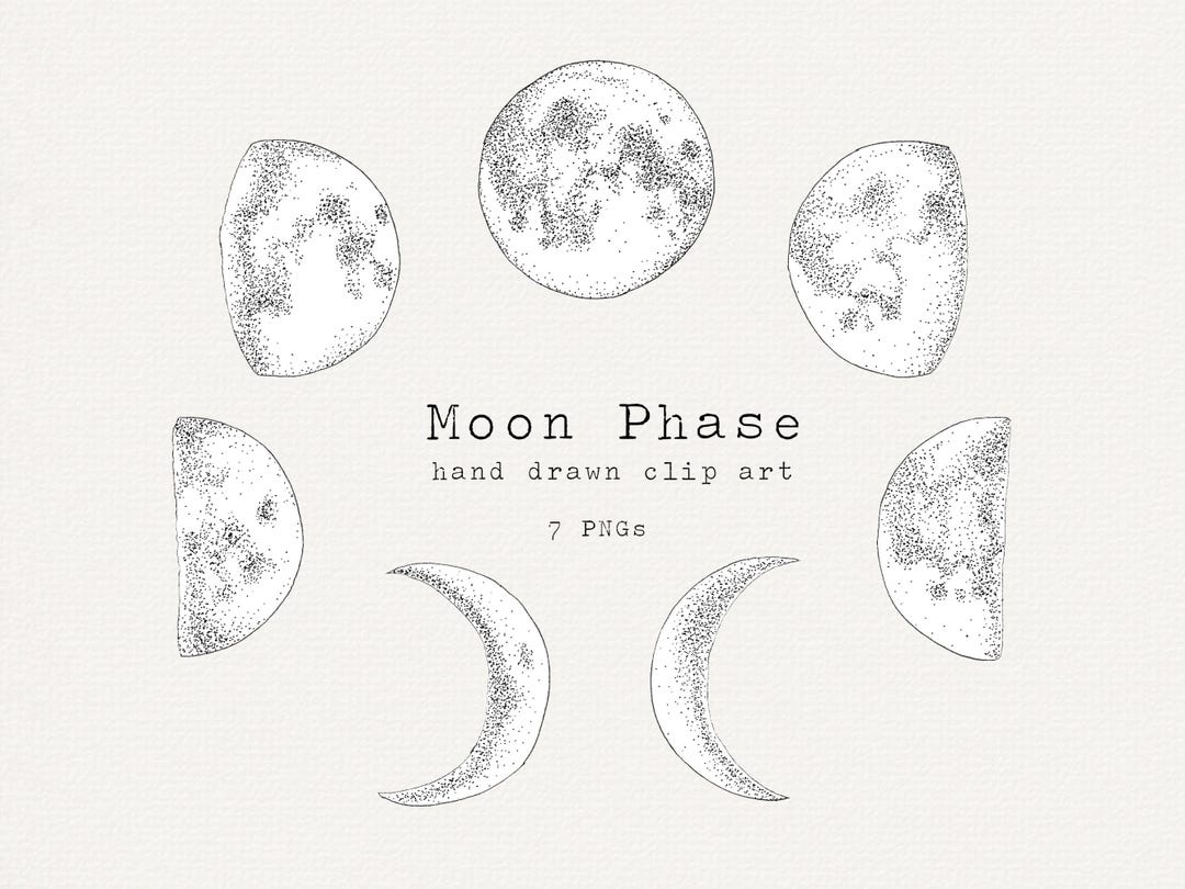 Moon Phase Clipart, Moon Clip Art, Moon PNG, Witchy, Witchcraft, Half ...