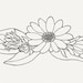 Calendula Flower SVG, Vector Clip Art, Medicinal Plant Illustration ...