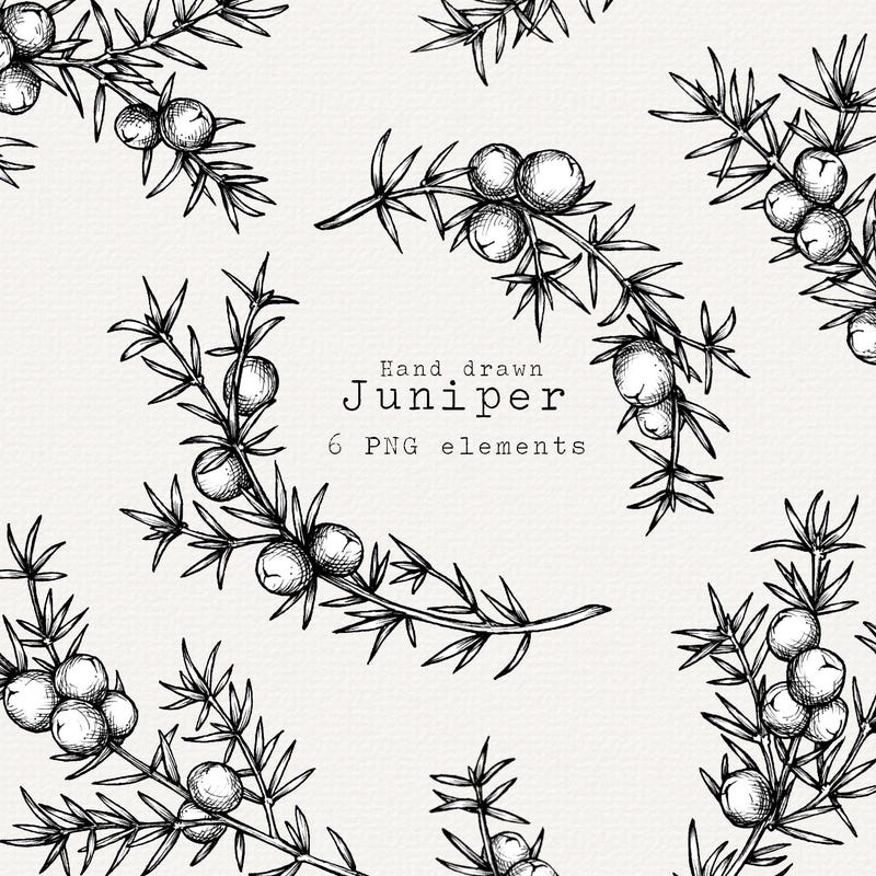 LaRoseArtStudios - Etsy