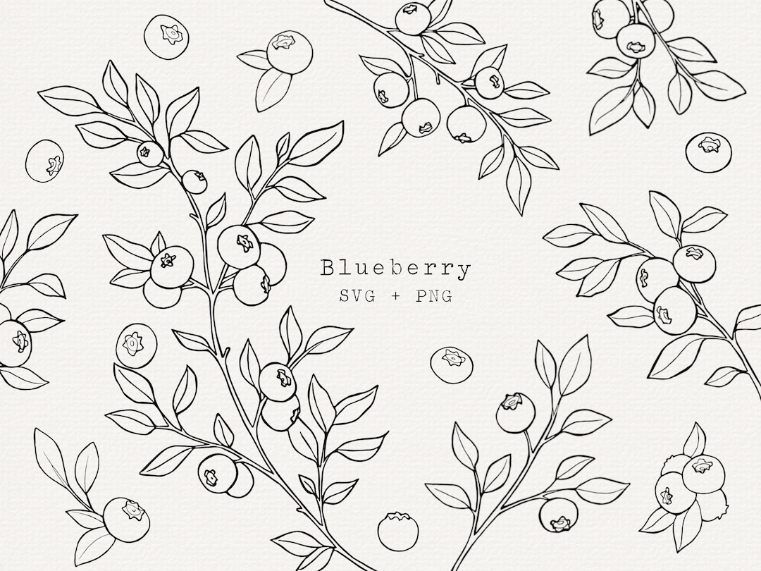 Blueberries SVG, Blueberry Plant Vector Clip Art, Berry Line Art ...