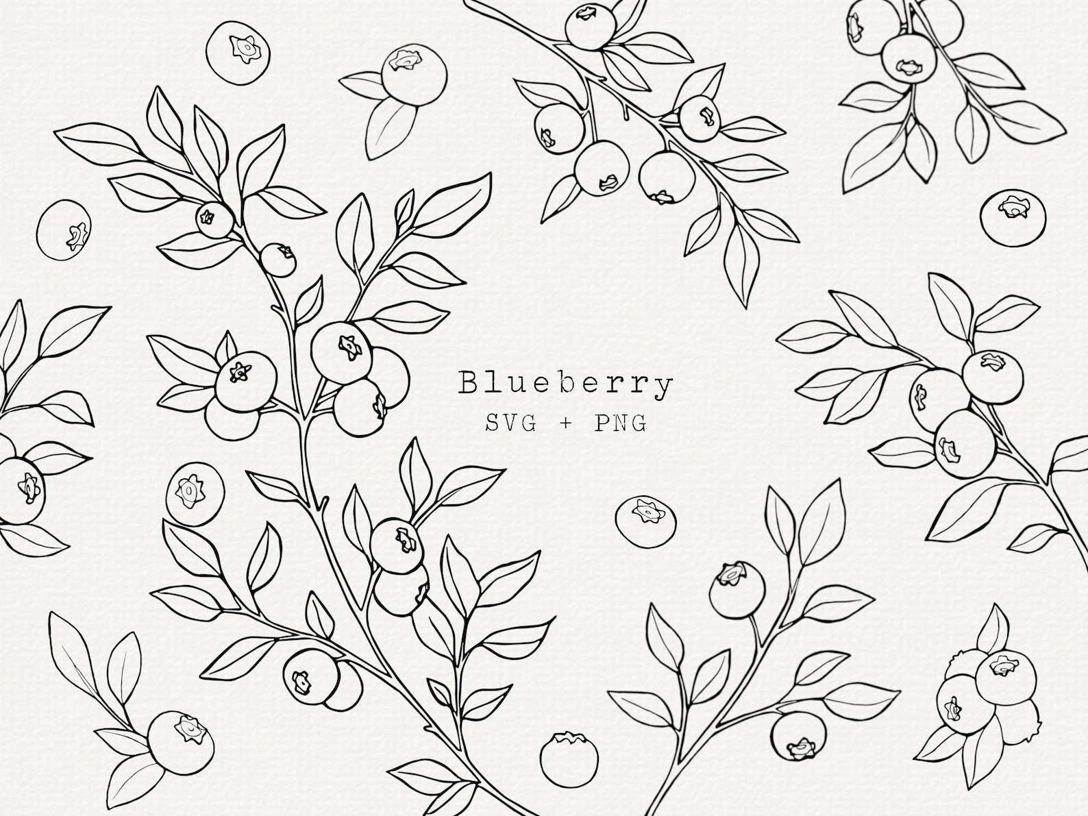 Blueberry Branch Line Art, Berry Plant SVG, Tattoo Design (digital ...