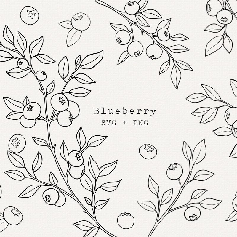 Blueberry Branch - Etsy