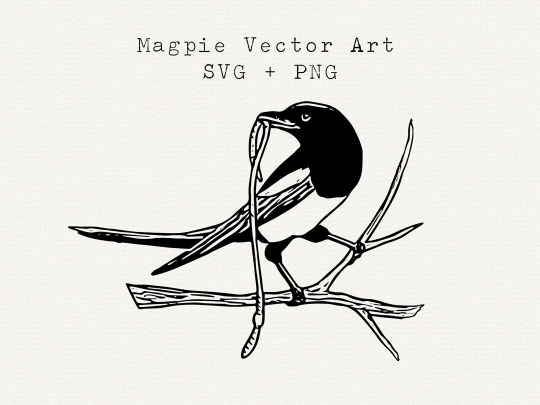 Magpie SVG, Magpie Clipart, Magpie Drawing, Bird Vector, Cricut File ...