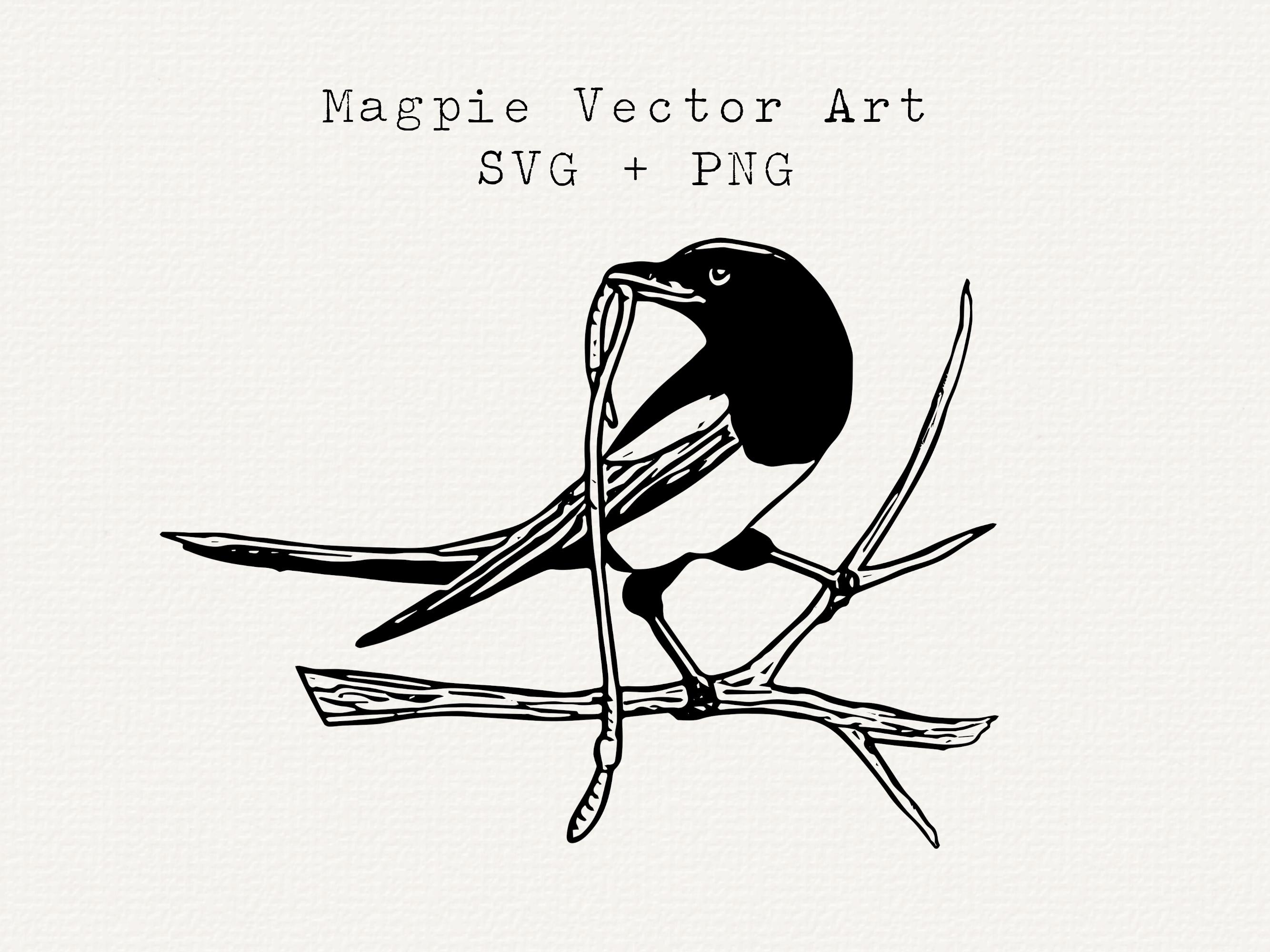 Magpie Vector Art, Bird SVG, PNG Clipart, DIY Crafting, Digital ...