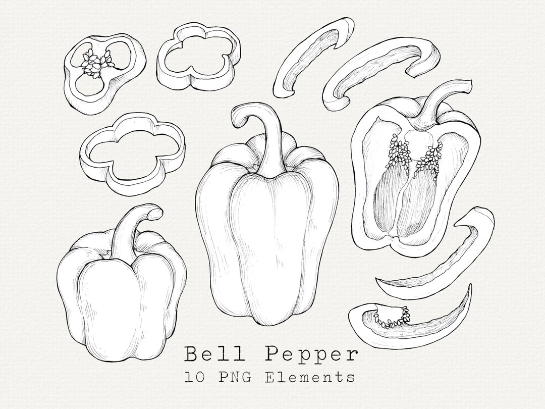 Bell Pepper PNG Clip Art, Hand Drawn Peppers Illustration, Vintage ...