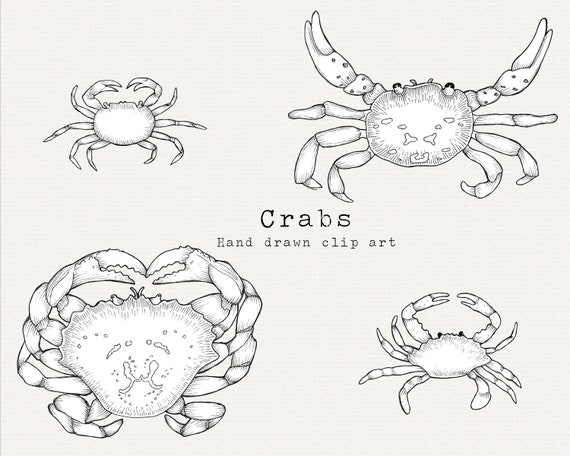 Crab On Beach Clipart Borders
