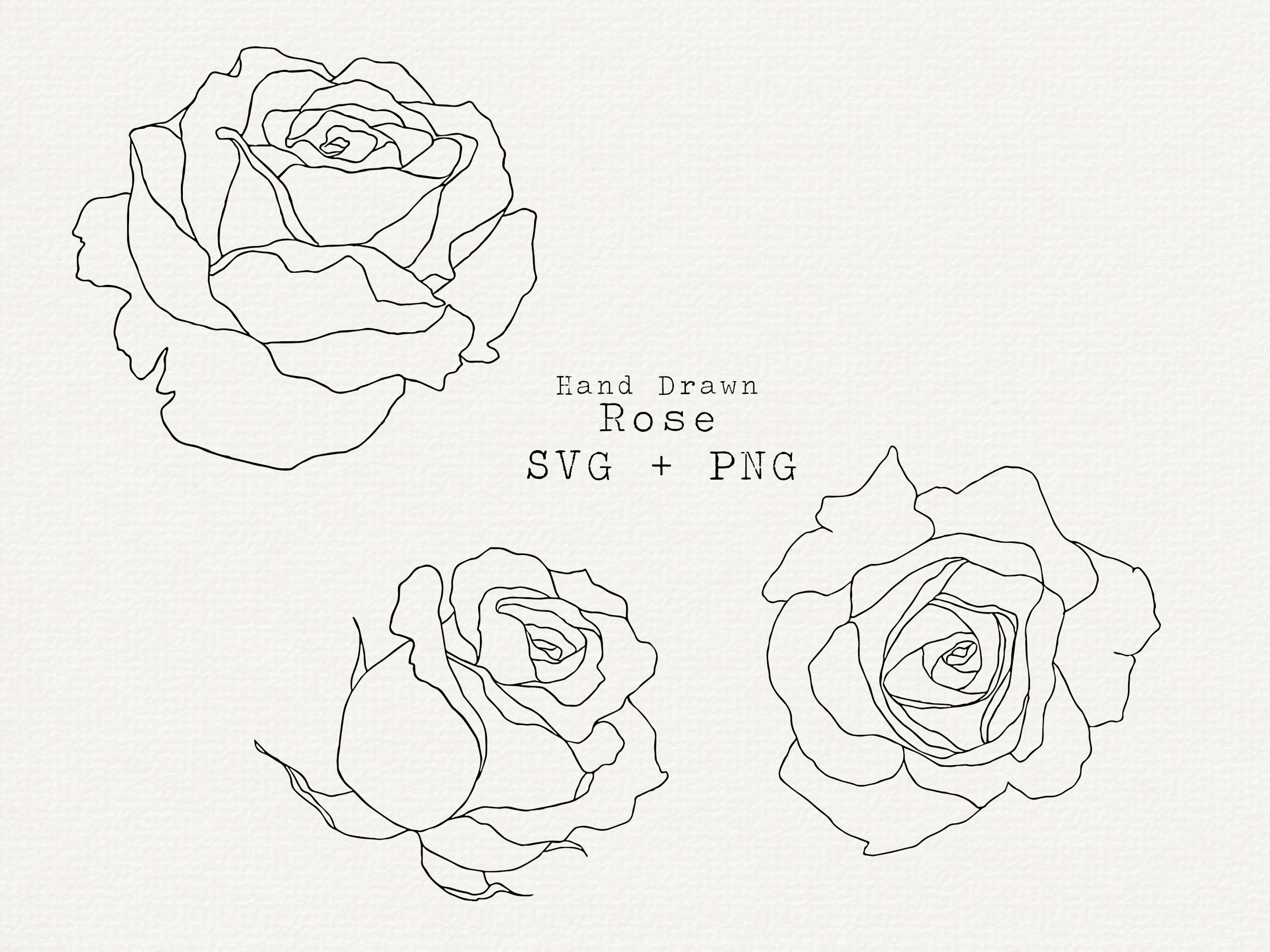 Dibujo Lineal De Flores Rosas