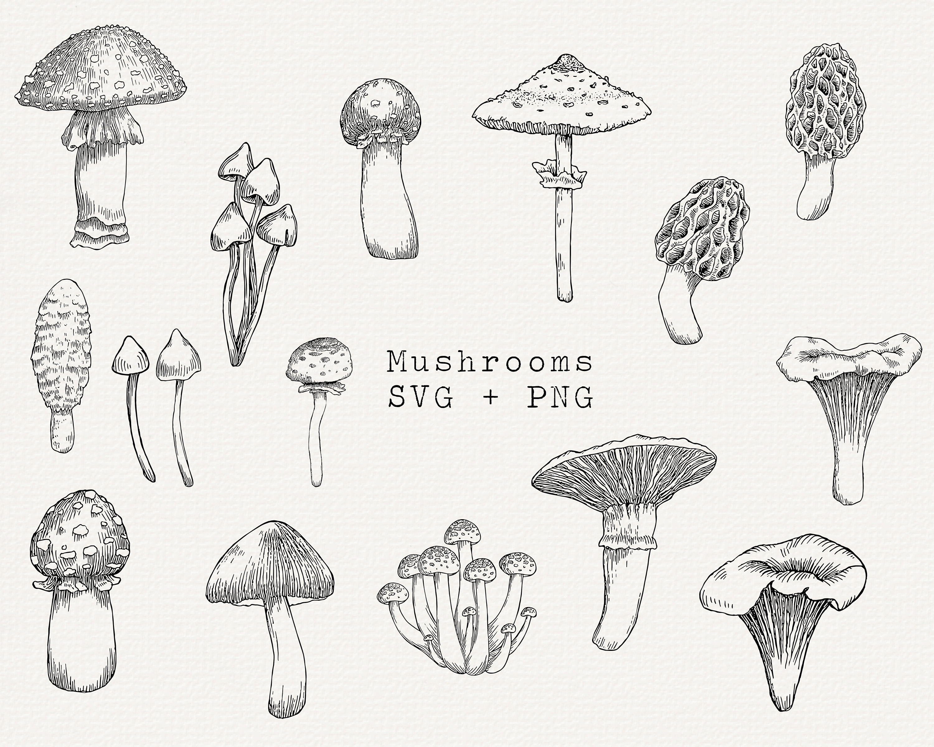 Dessin Simple De Champignon Étape Par étape Pour Dessiner Un
