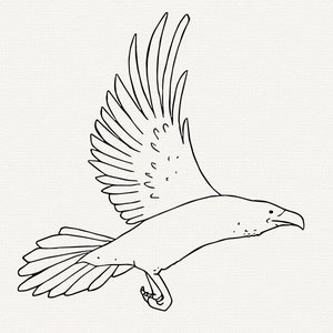 Raven SVG Bundle, Illustration for Commercial Use, Cut File for Cricut ...