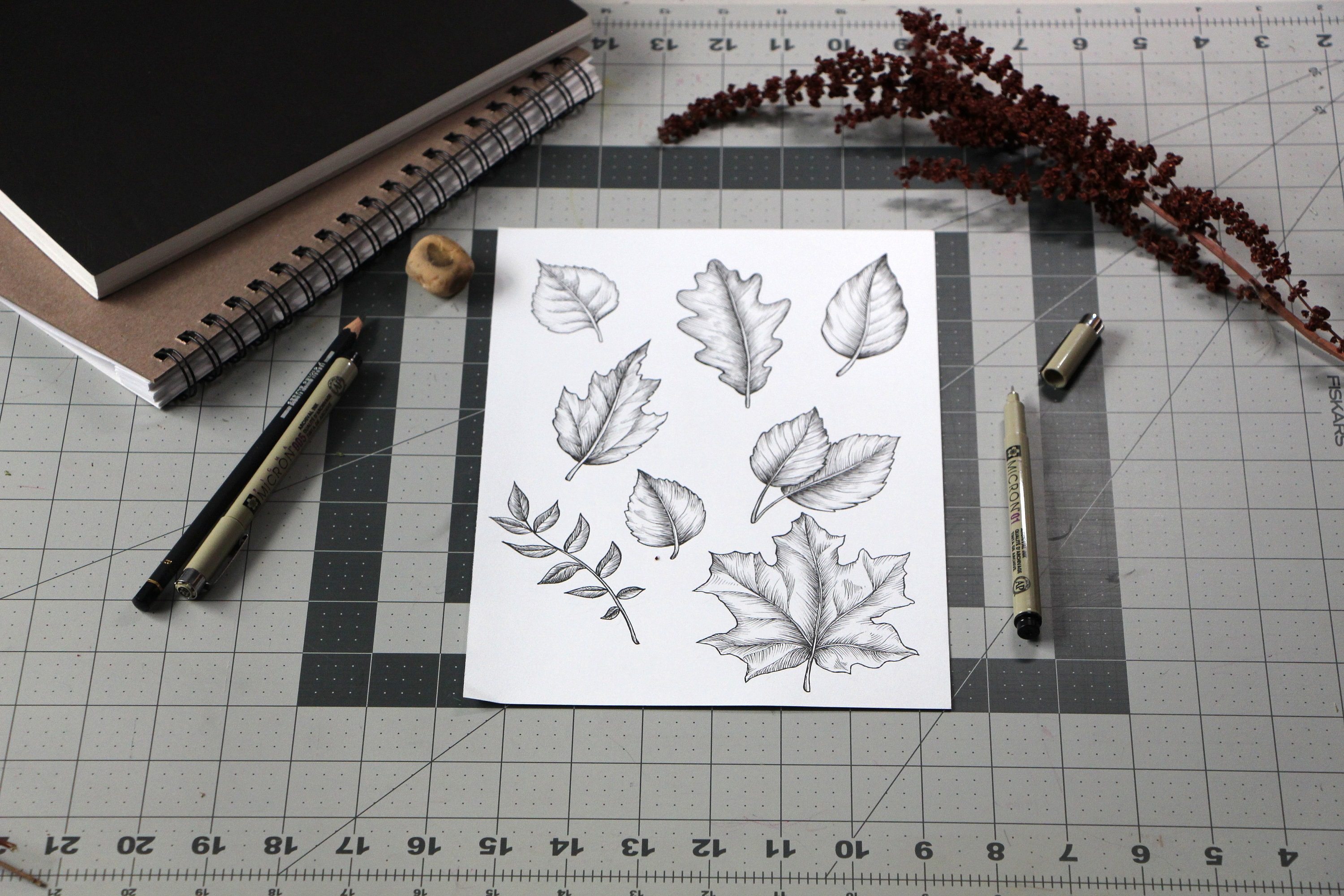 Hand-drawn Autumn Leaves Clip Art: Botanical Line Art (PNG Download) - Etsy
