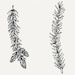 Spruce Tips PNG Clip Art, Hand Drawn Spruce Tip Illustration, Evergreen ...