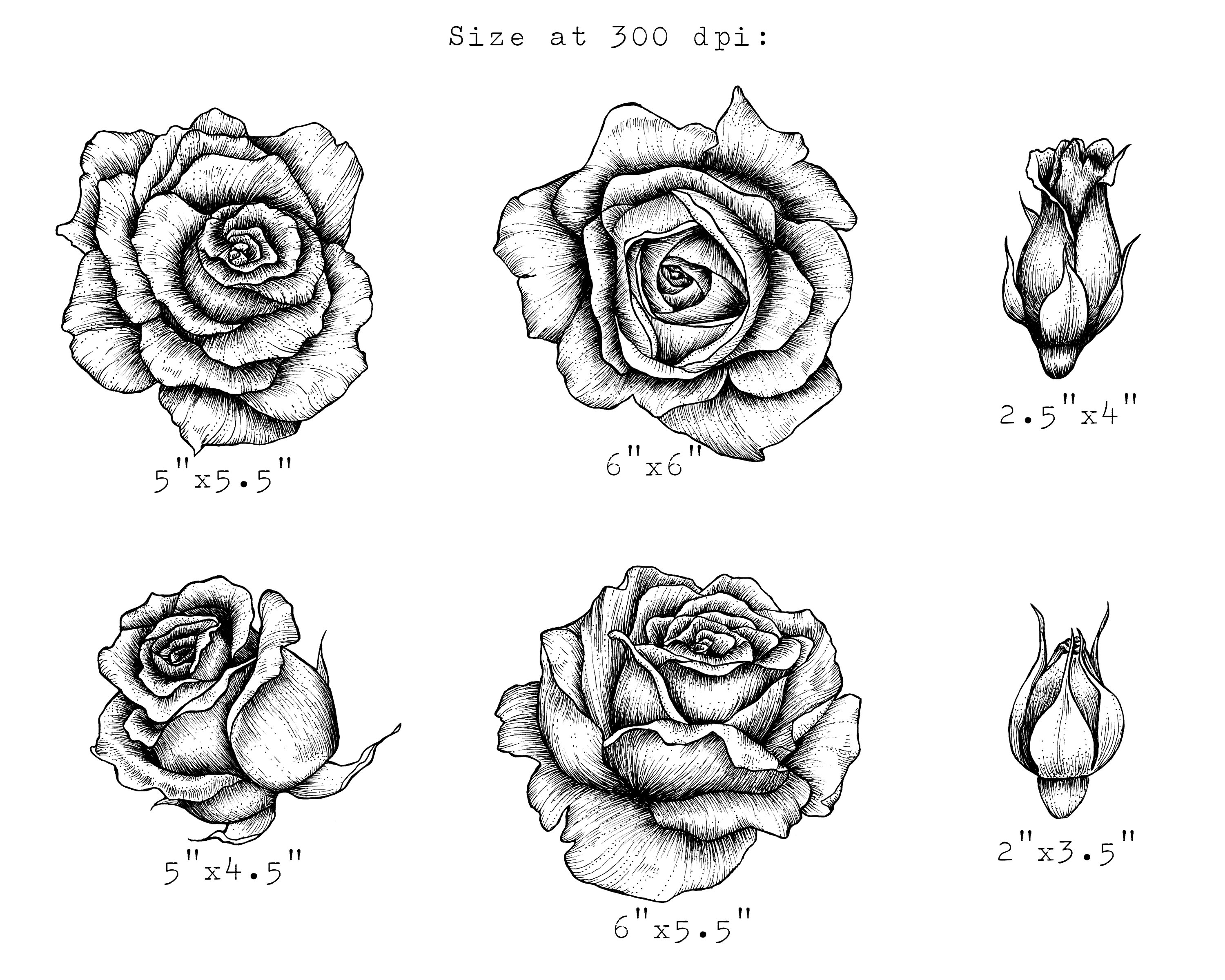 Hand Drawn Rose Clip Art Hand Drawn Rose PNG Black and White - Etsy