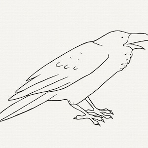 Raven SVG Bundle, Illustration for Commercial Use, Cut File for Cricut ...