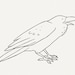Raven SVG Bundle, Illustration for Commercial Use, Cut File for Cricut ...