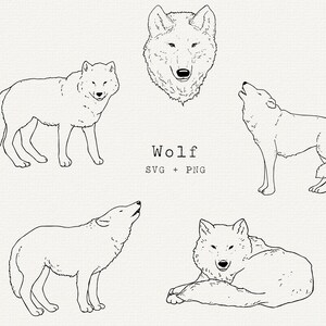 Wolf SVG Bundle, Wolves Illustration for Commercial Use, Cut File for ...
