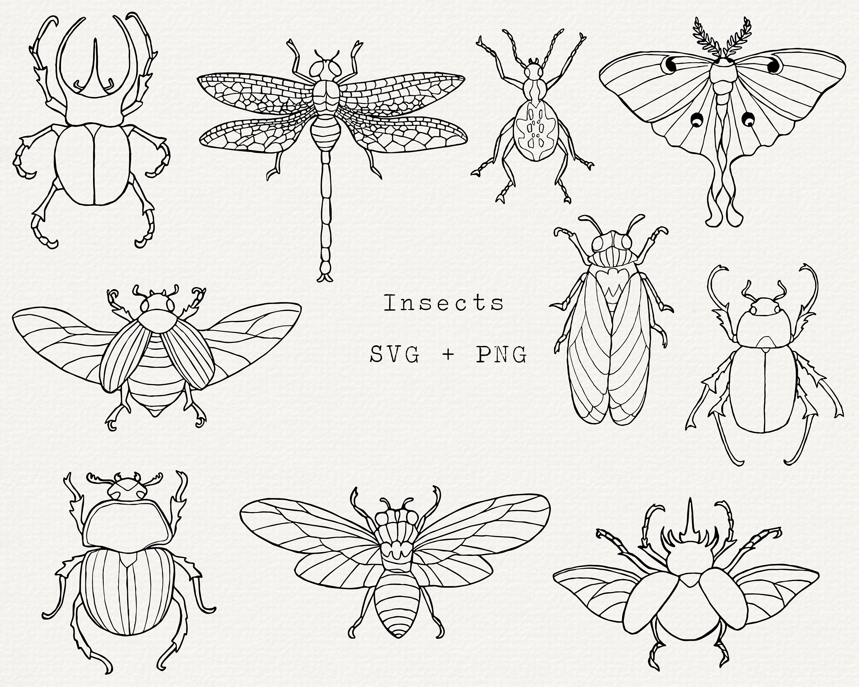 Insect SVG Insects SVG Bundle Insect Clipart Scarab Beetle - Etsy