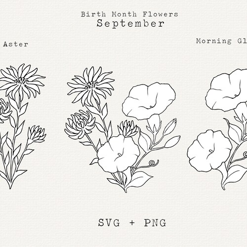 Floral Drawing Hand Drawn Flower Line Art Wildflower Clipart - Etsy