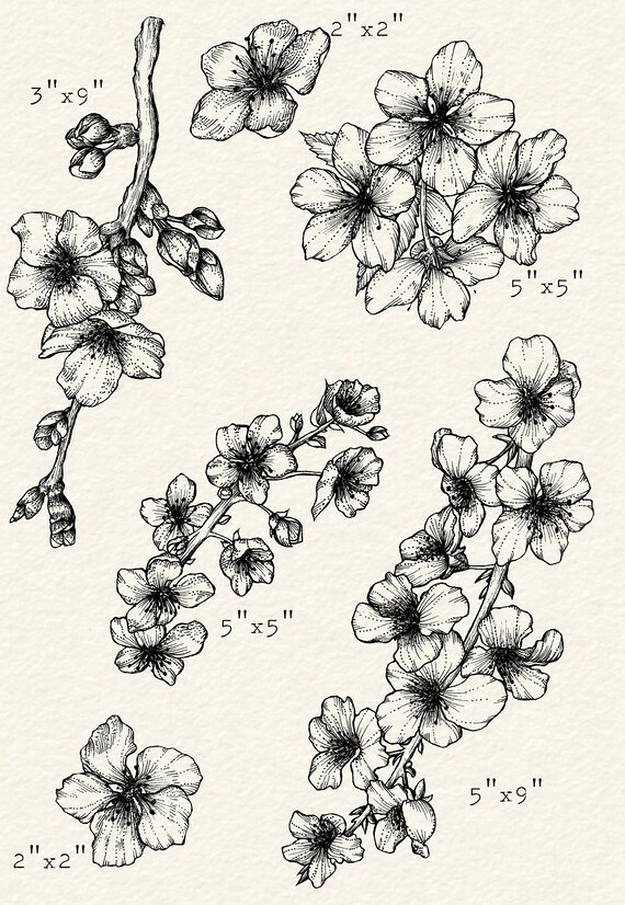 Black And White Japanese Cherry Blossom Clip Art