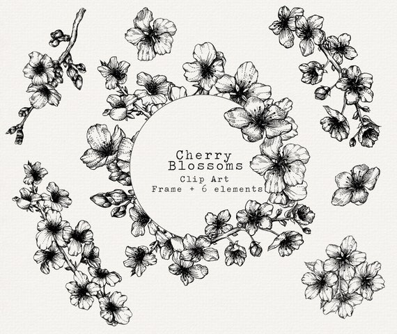 Black And White Japanese Cherry Blossom Clip Art