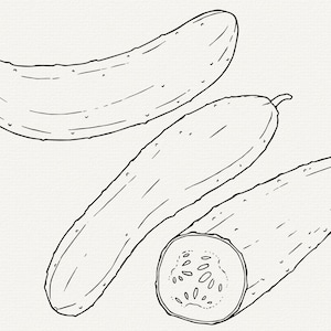 Cucumber SVG Bundle, Illustration for Commercial Use, Cut File for ...