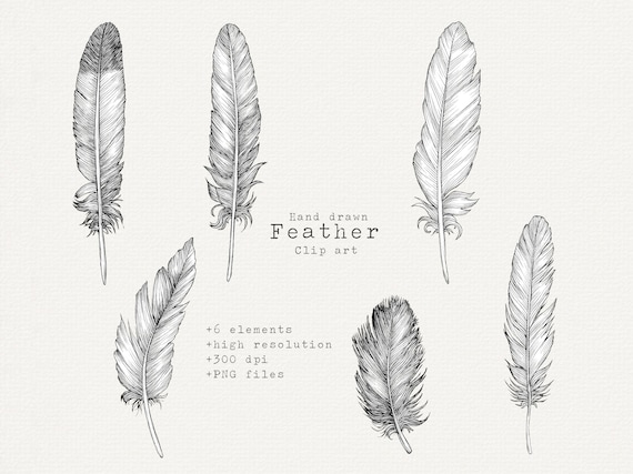 Plumas Dibujadas Conjunto De Varias Plumas Dibujadas A Mano, Forma De