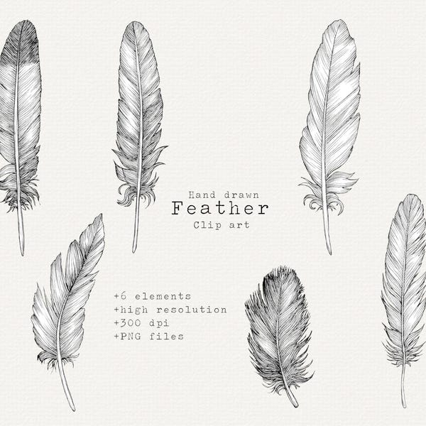 Feather Clip Art - Etsy