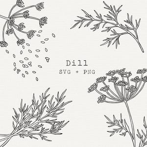 Dill SVG Clip Art, Commercial Use, Dill Plant Vector Illustration, Herb ...