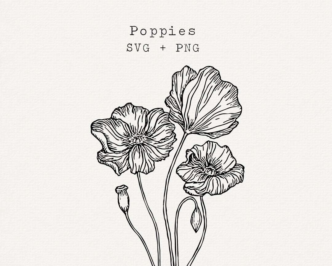 Poppy SVG, Poppies Vector, Floral Line Art Clipart, Botanical ...