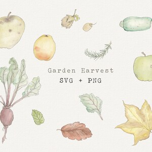 Garden Harvest Clipart, Watercolor Vegetable Clipart, Watercolor Clip ...