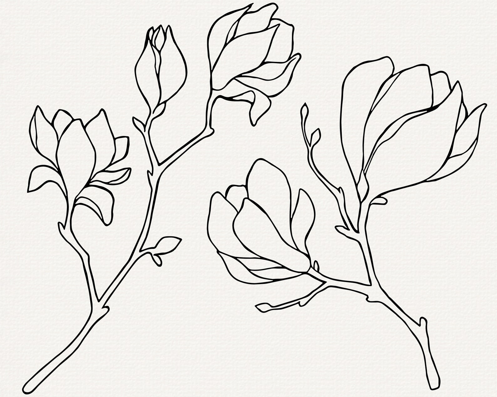 Magnolia SVG, Magnolia Line Art Clip Art, Cricut Cut File, Simple ...