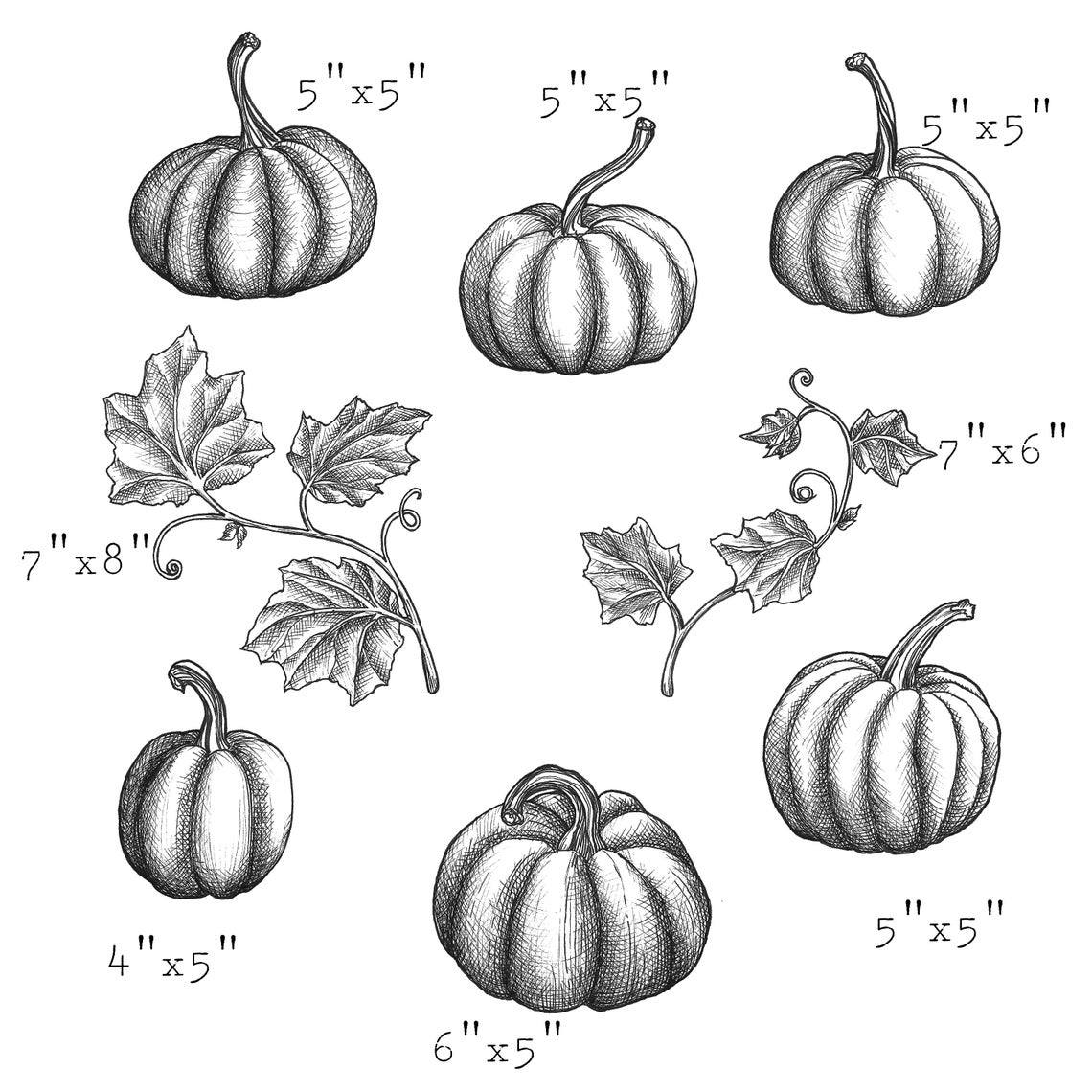 Pumpkin Clipart Autumn Clipart Fall Clipart Pumpkin PNG - Etsy