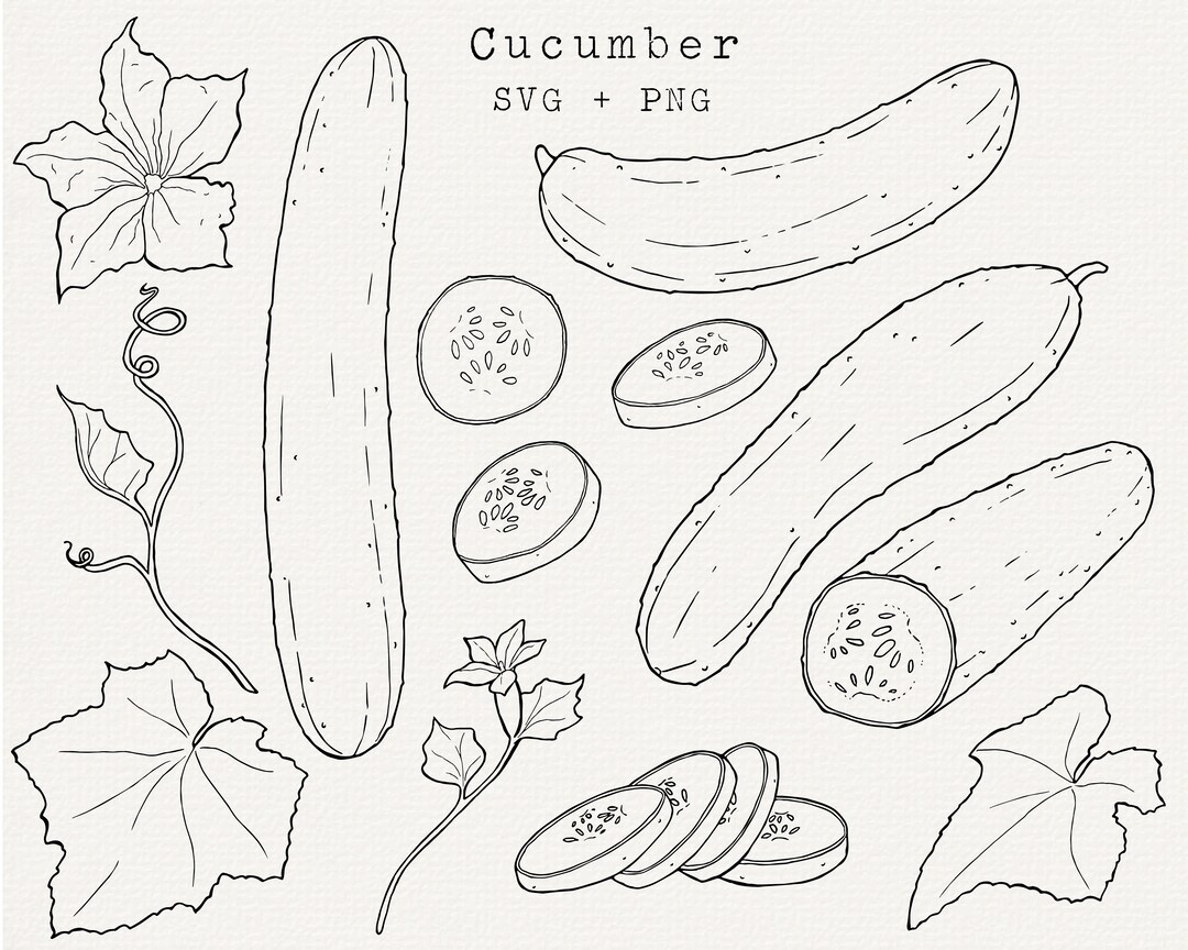 Cucumber SVG Bundle, Illustration for Commercial Use, Cut File for ...