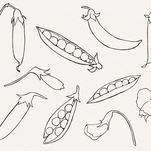 Snap Pea SVG Clip Art, Sweet Pea Illustration for Commercial Use ...