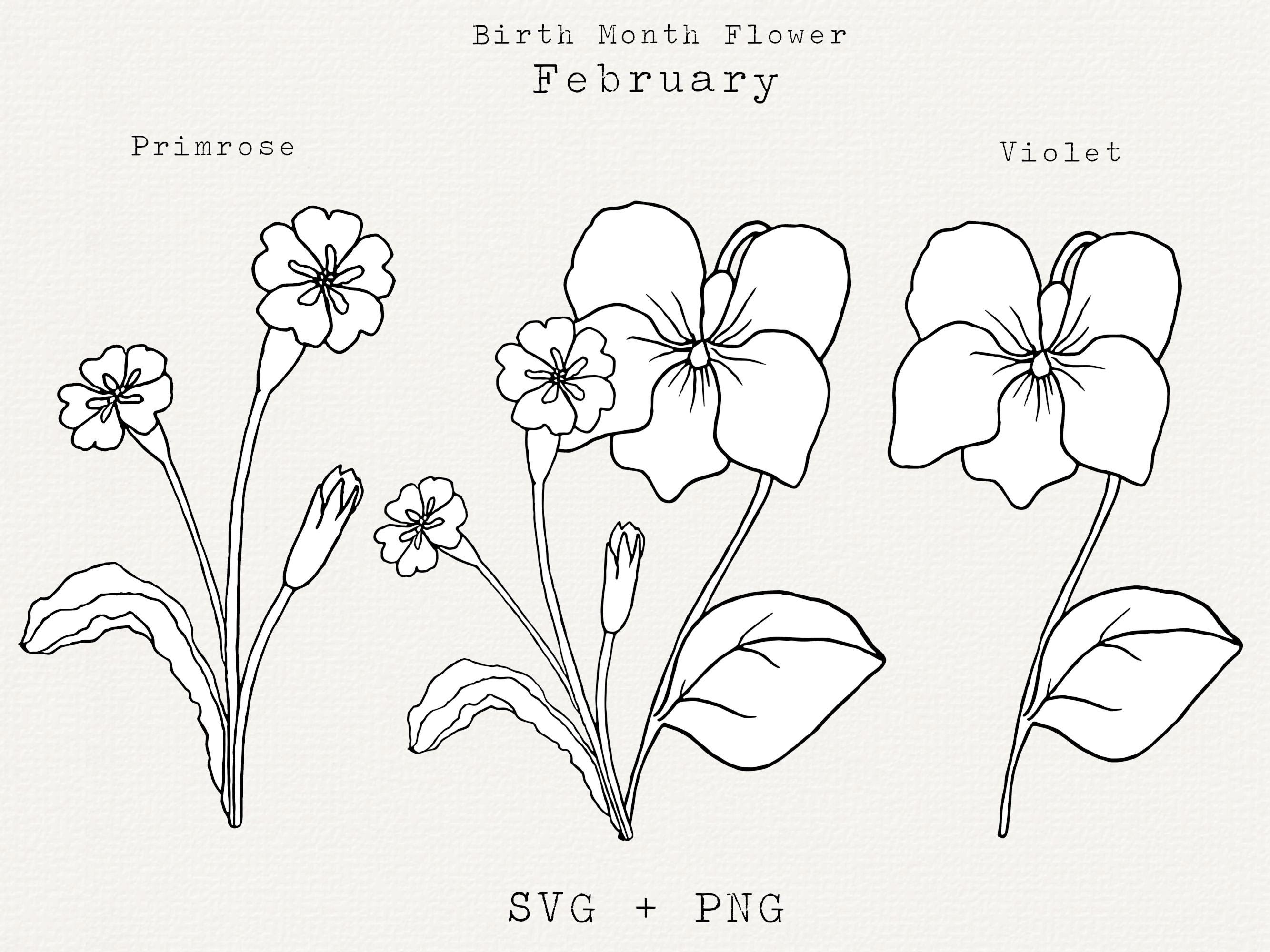 Primrose Flower SVG, Violet Flower SVG, February Birth Month Flowers ...